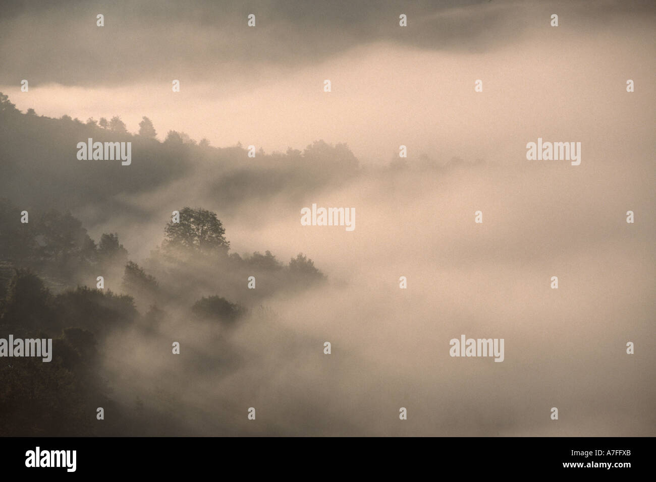 Trèves cevennes hi-res stock photography and images - Alamy