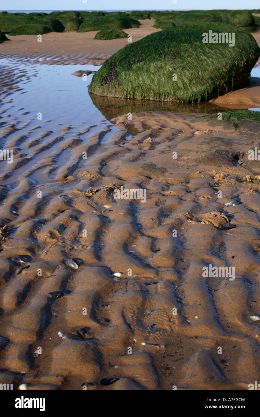 Rocks on beach hunstanton east hi-res stock photography and images - Alamy