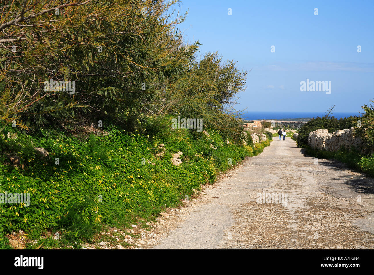 Marfa Ridge Path Malta Stock Photo - Alamy