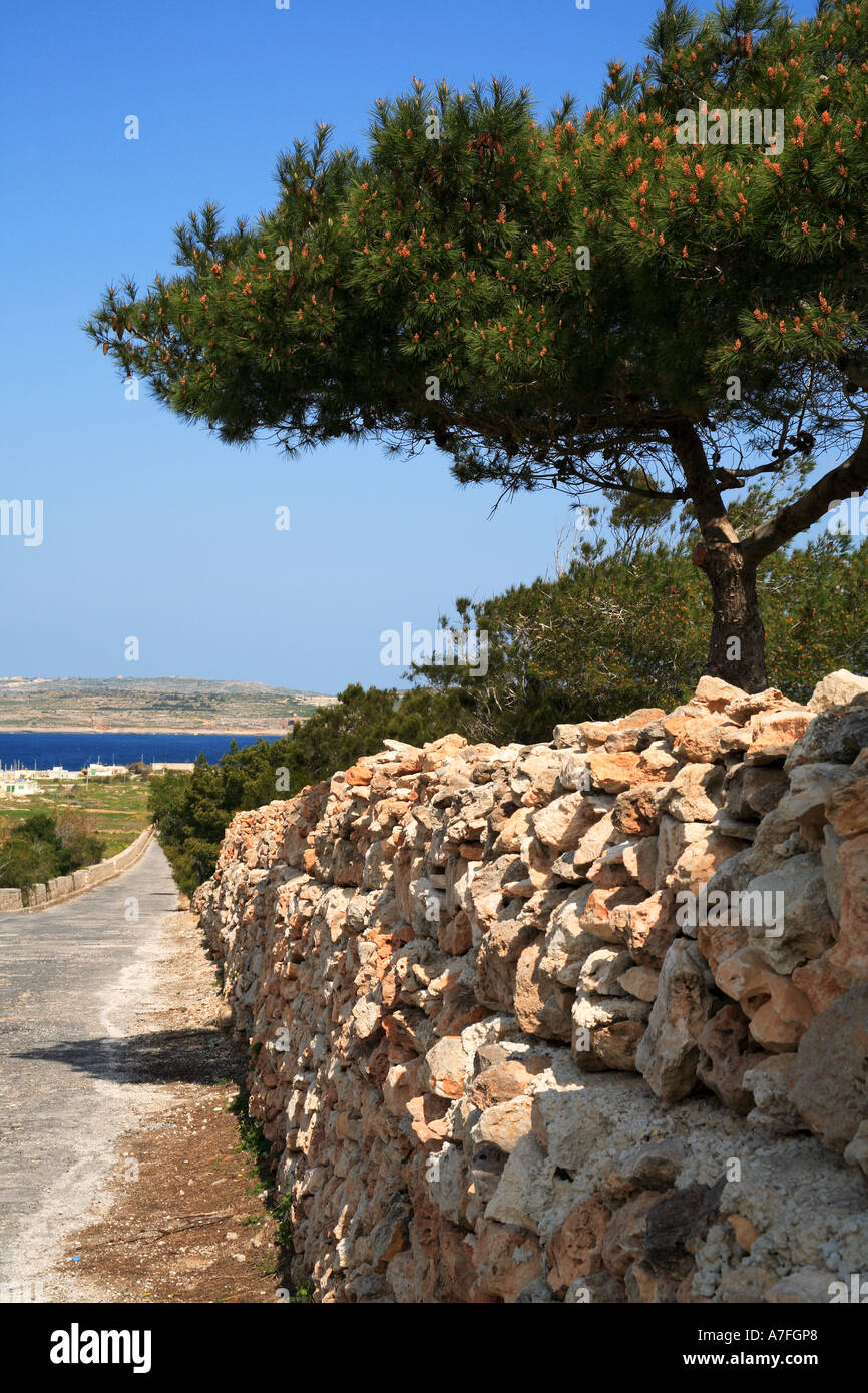 Marfa ridge hi-res stock photography and images - Alamy