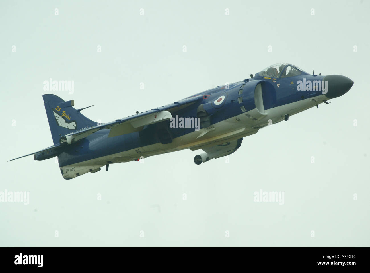 Harrier Jump Jet on display in 2004 Stock Photo - Alamy