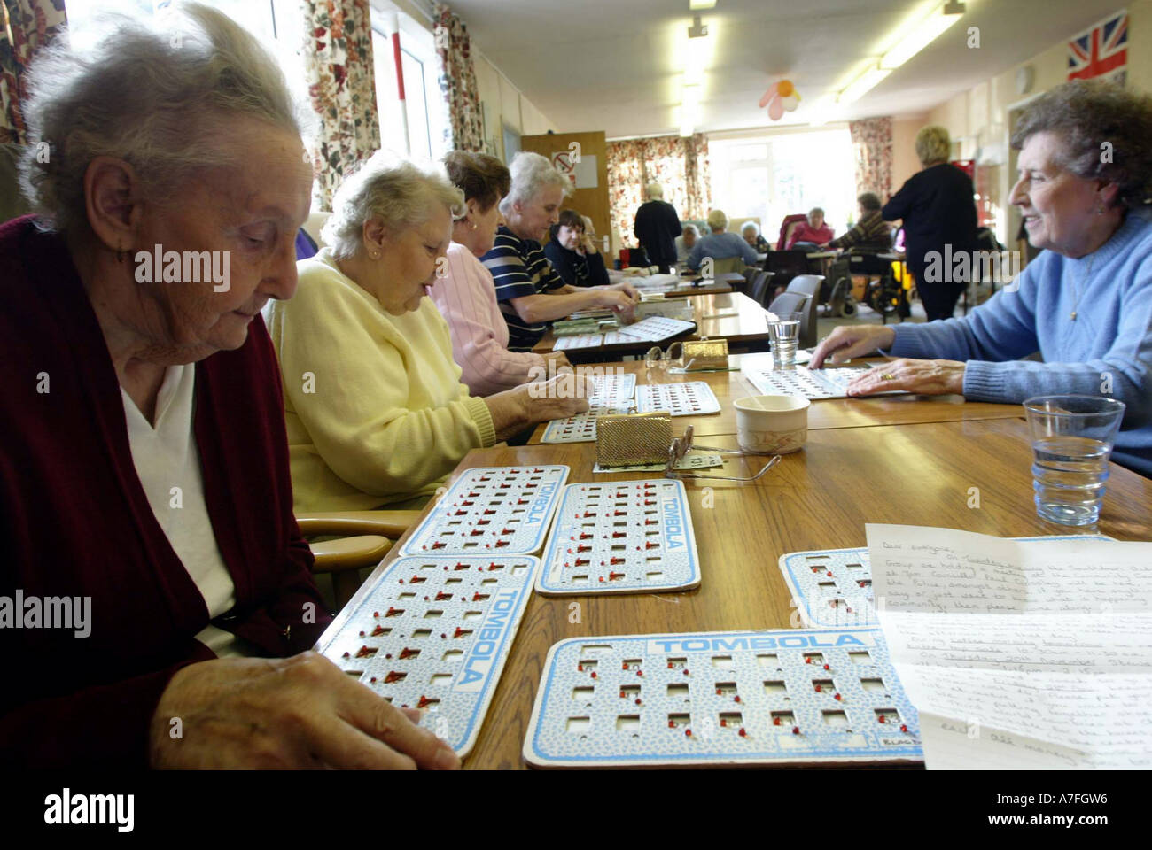 Bingo Old Person