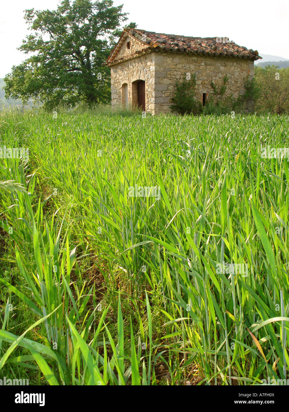 Provence cabanon hi-res stock photography and images - Alamy