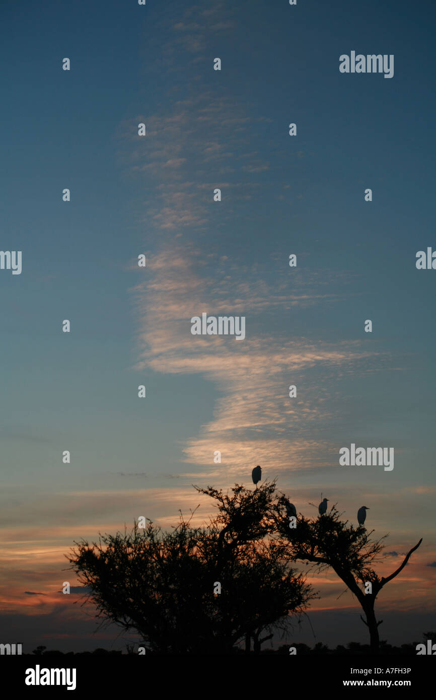 Khutse hi-res stock photography and images - Alamy