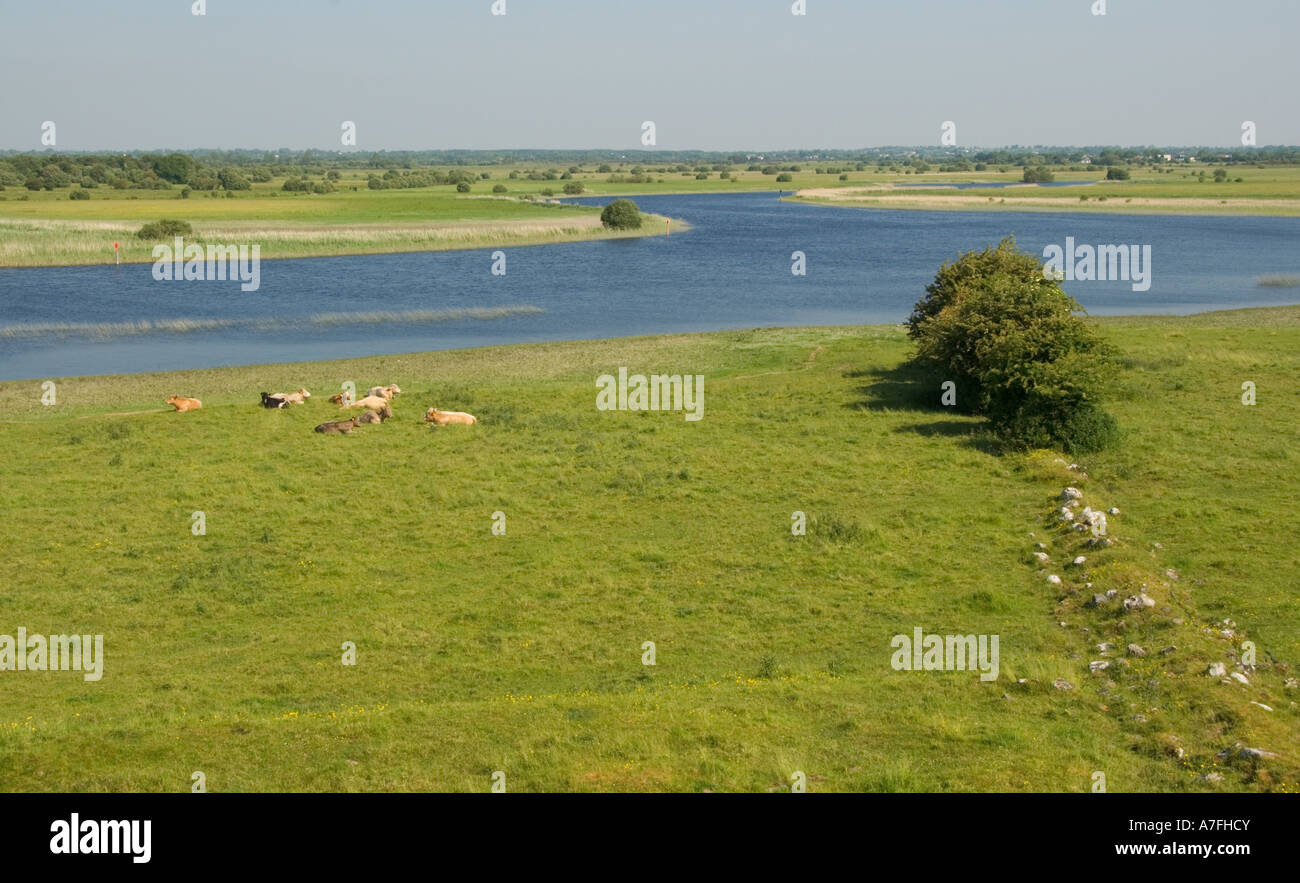 Ireland County Offaly River Shannon view from Clonmacnoise Stock Photo ...