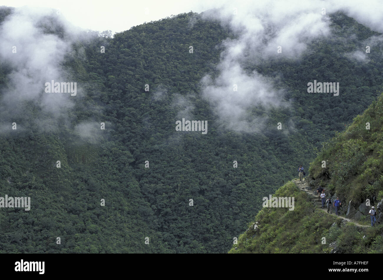 S.A., Peru, Inca Trail. Hikers on the side of a mountain Stock Photo ...