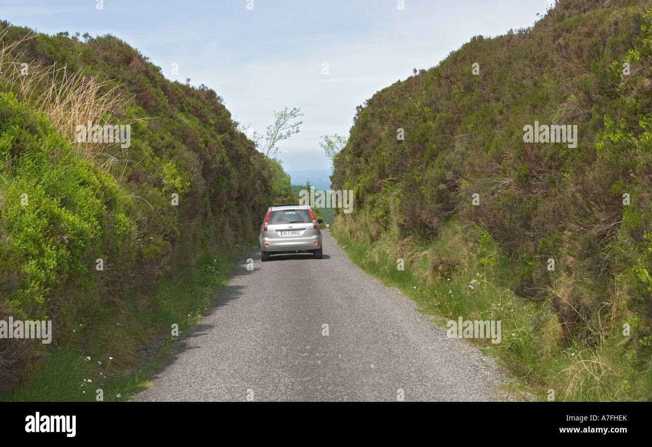 Ireland small car on narrow road with hedge rows Stock Photo - Alamy