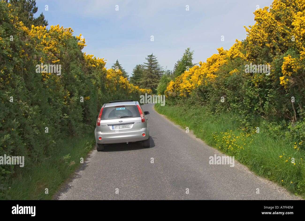 Hedge rows ireland hi-res stock photography and images - Alamy