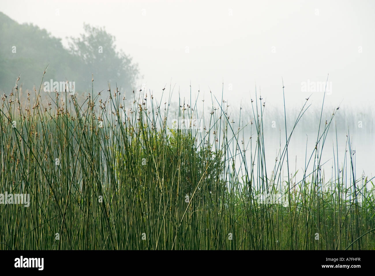 Lough ree and ireland hi-res stock photography and images - Alamy
