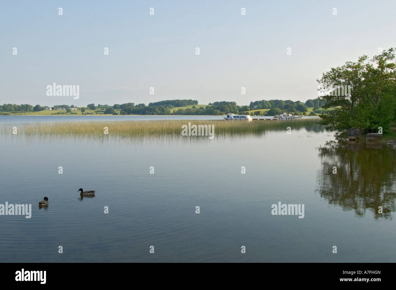 Ireland County Westmeath Lough Ree Stock Photo - Alamy