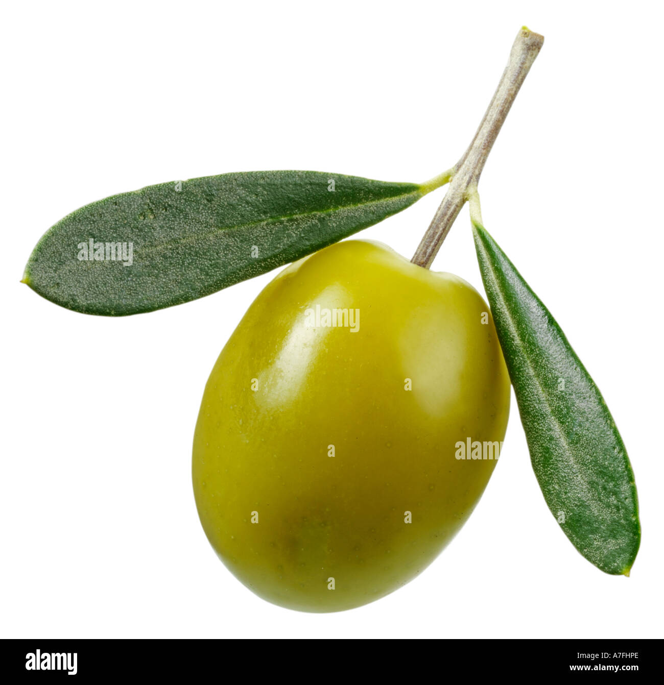 SINGLE GREEN OLIVE CUT OUT Stock Photo - Alamy