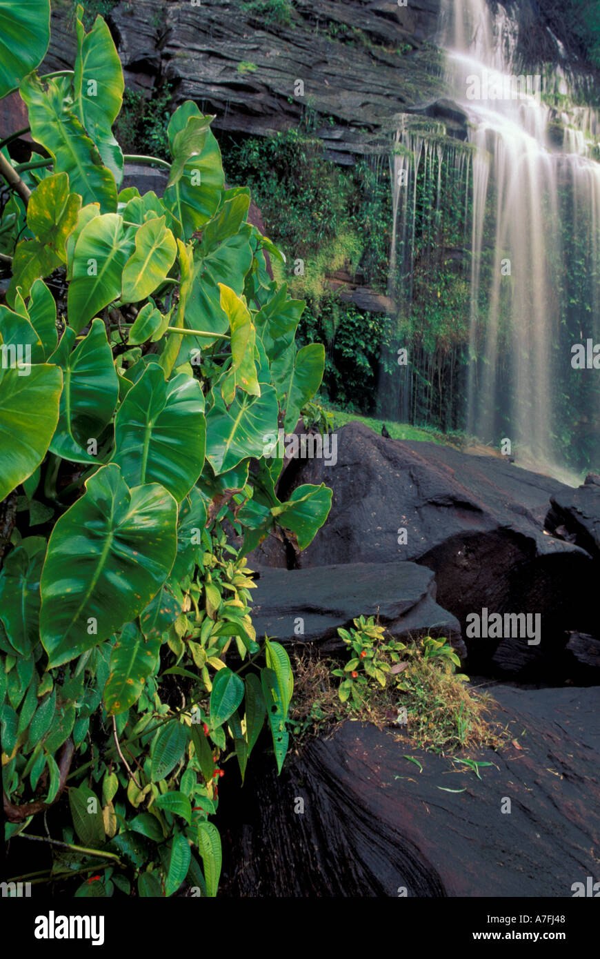 Hacha falls hi-res stock photography and images - Alamy