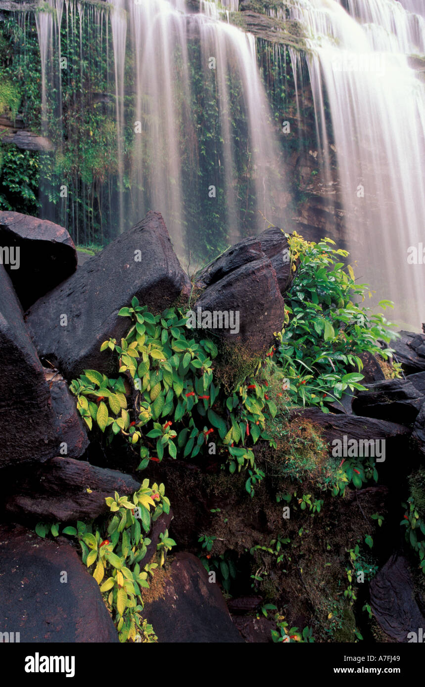 Hacha falls hi-res stock photography and images - Alamy