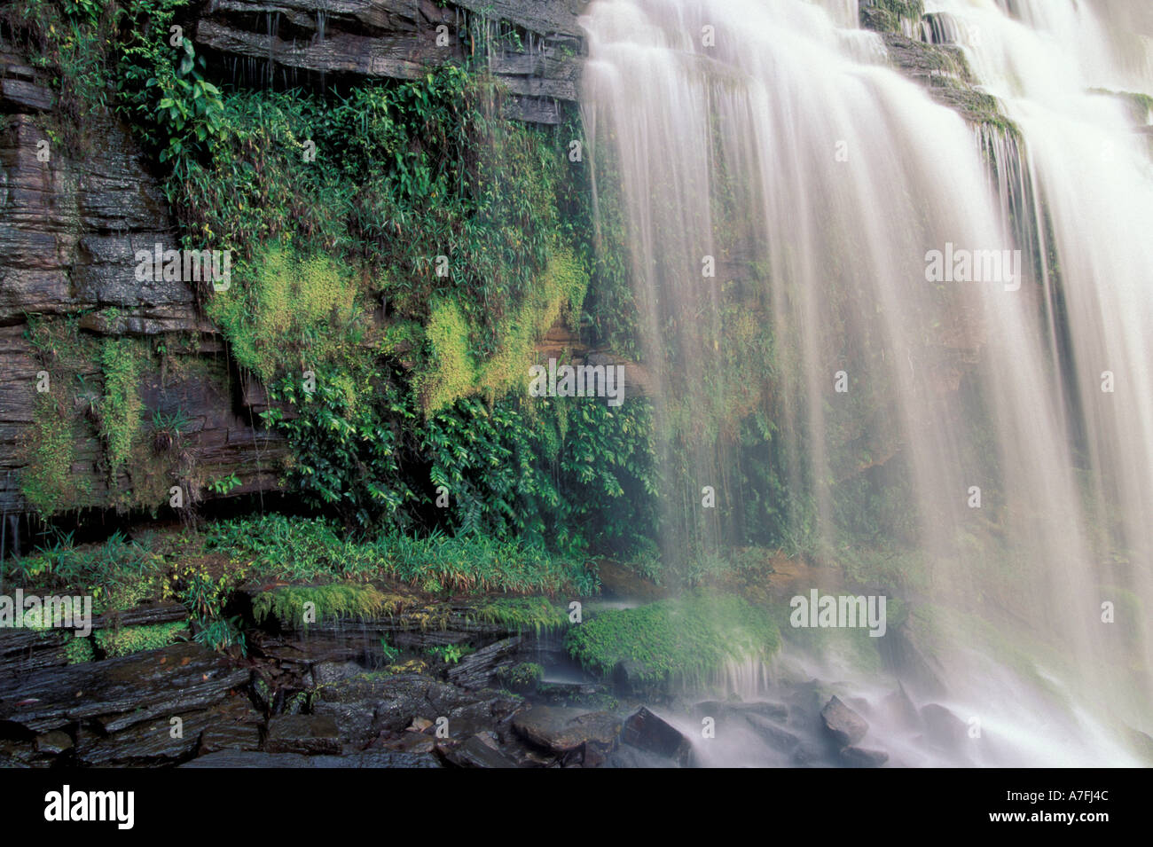 SA, Venezuela, Canaima National Park, Hacha Falls Stock Photo - Alamy