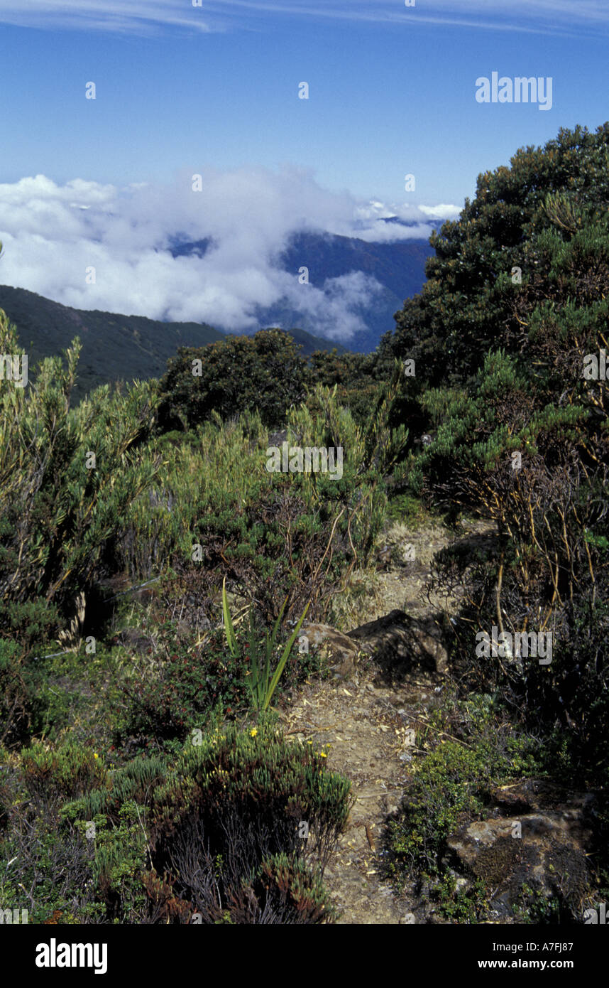 Central America, Costa Rica, Highlands. View from timberline in alpine ...