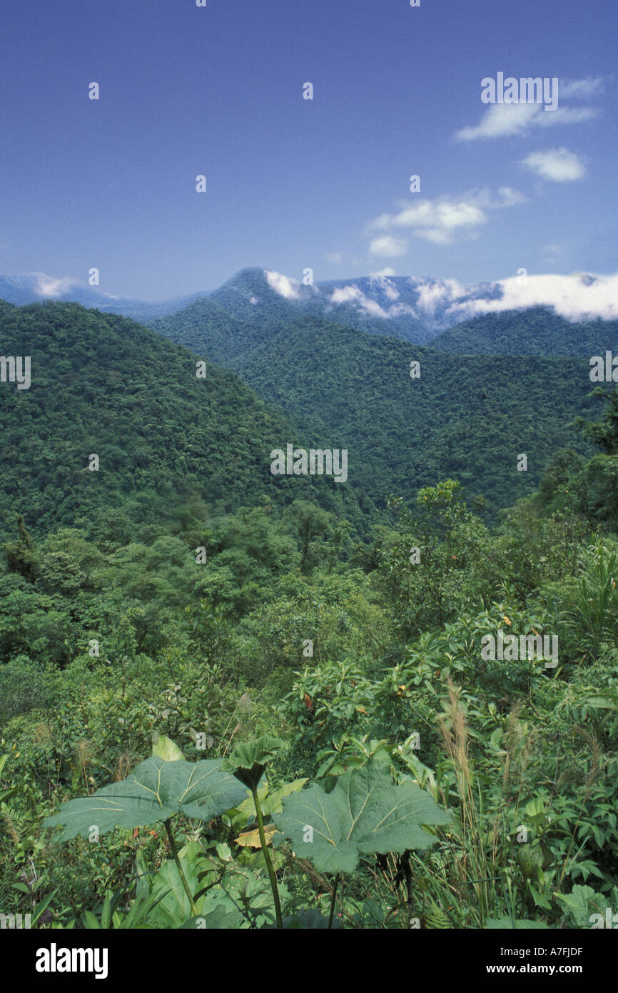 Carillo national park hi-res stock photography and images - Alamy
