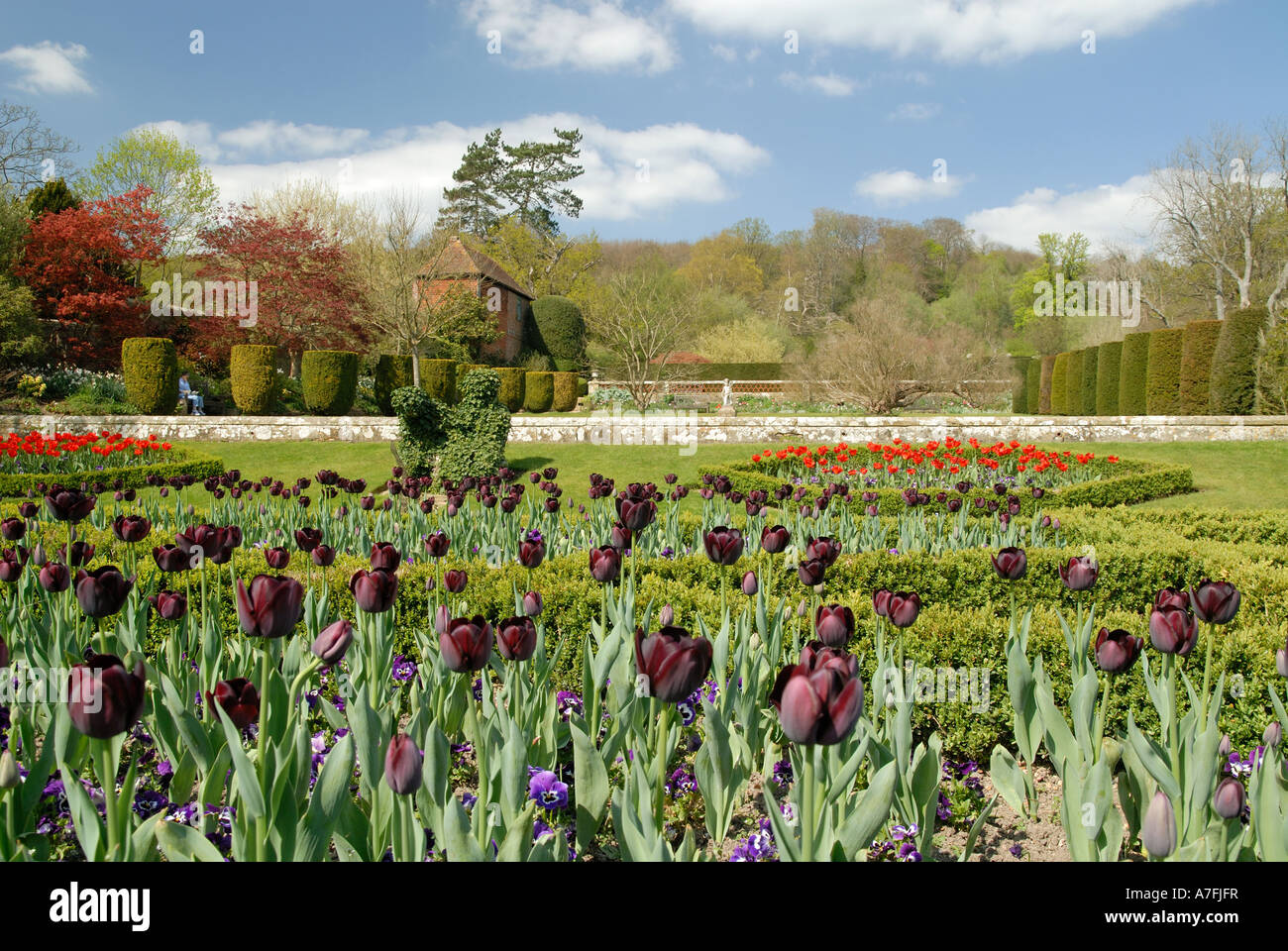 Spring flowers at Groombridge Place Gardens in Kent Stock Photo - Alamy