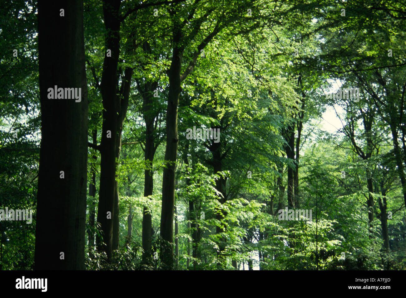 Checkendon hi-res stock photography and images - Alamy