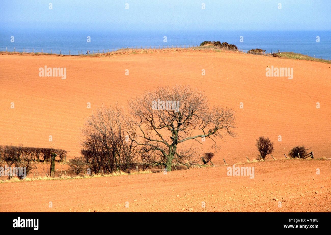 Red soil in fields near Cockburnspath East Lothian coast Scotland Stock ...