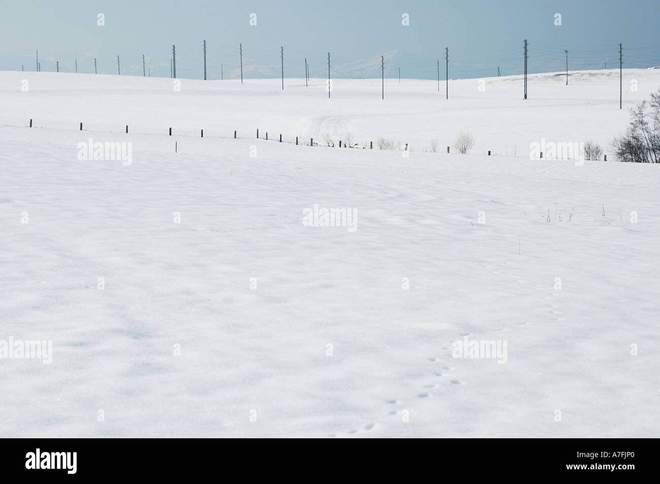 Snow and ice telegraph poles hi-res stock photography and images - Alamy
