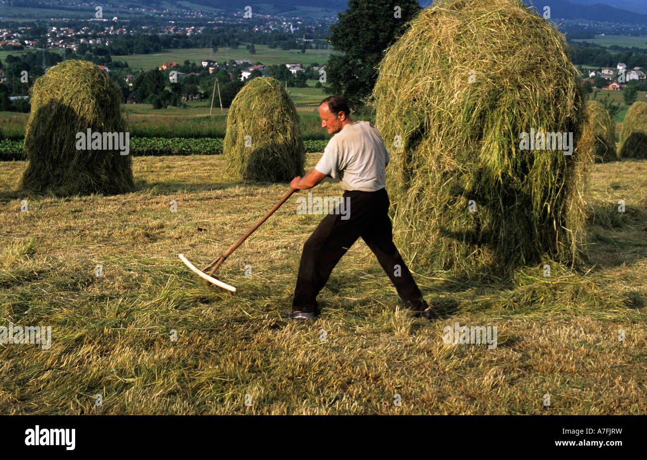 Traditional haymaking hi-res stock photography and images - Alamy
