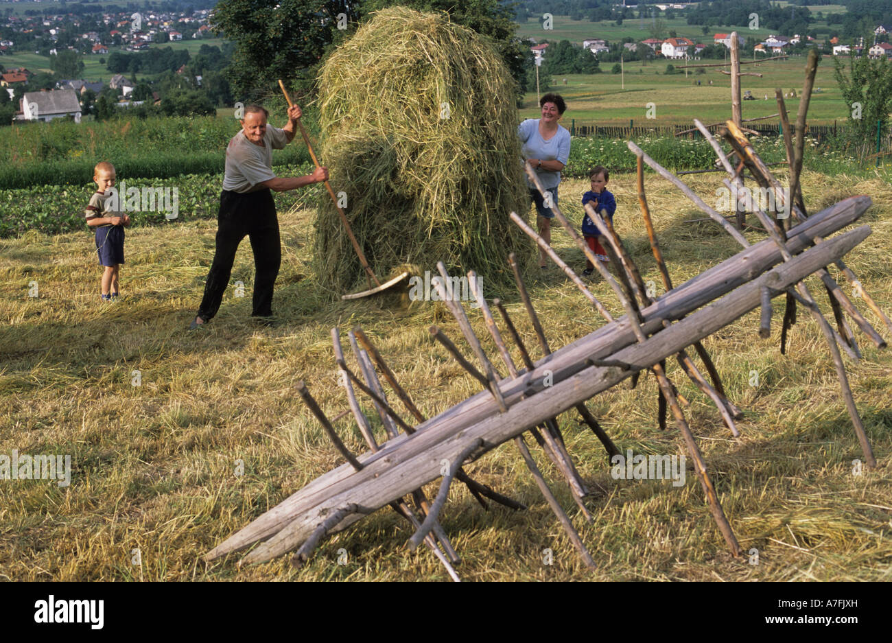 Poland Biesko Biala Small scale farmer Making hay rick Stock Photo - Alamy