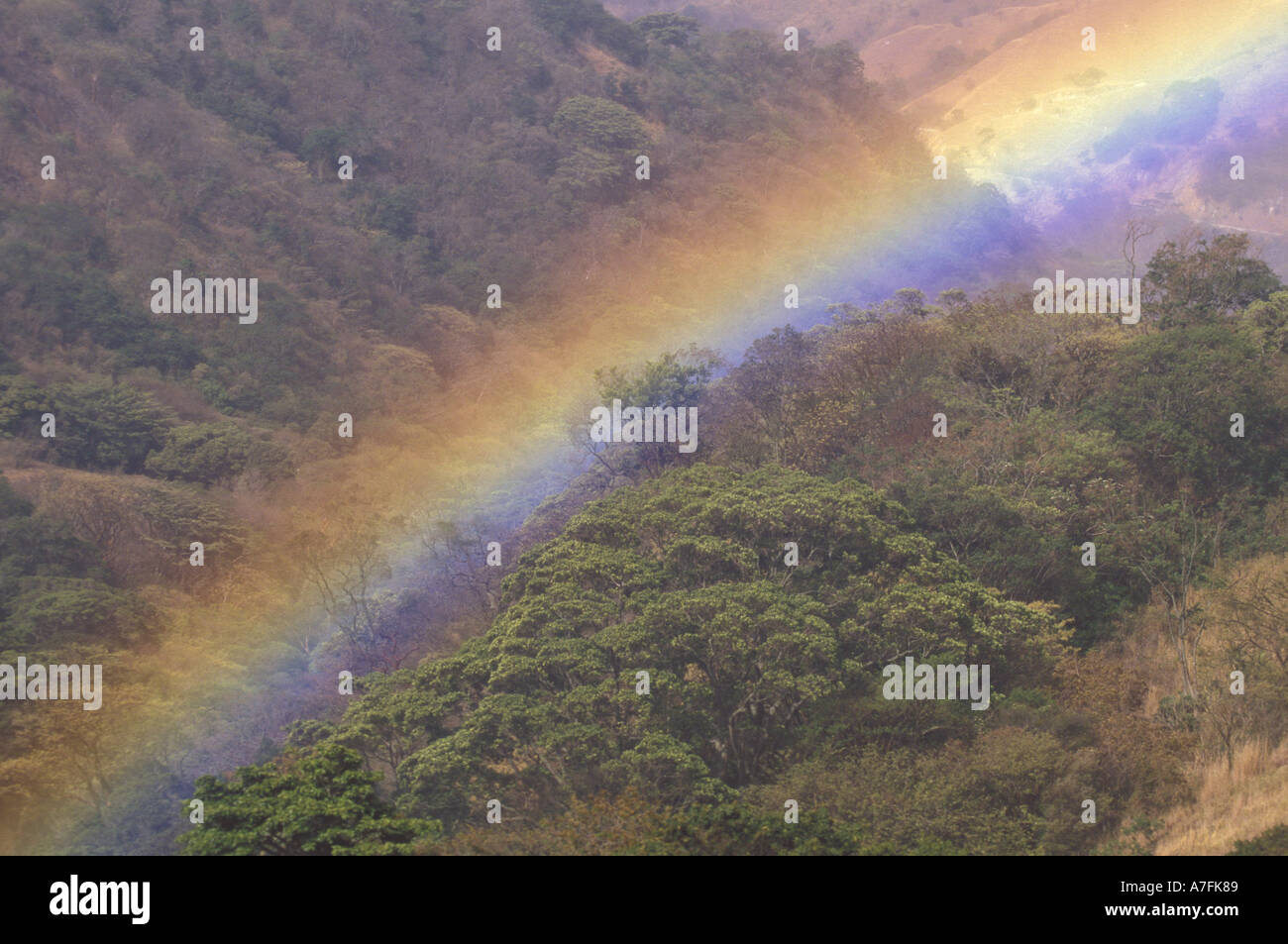 Guacimal hi-res stock photography and images - Alamy