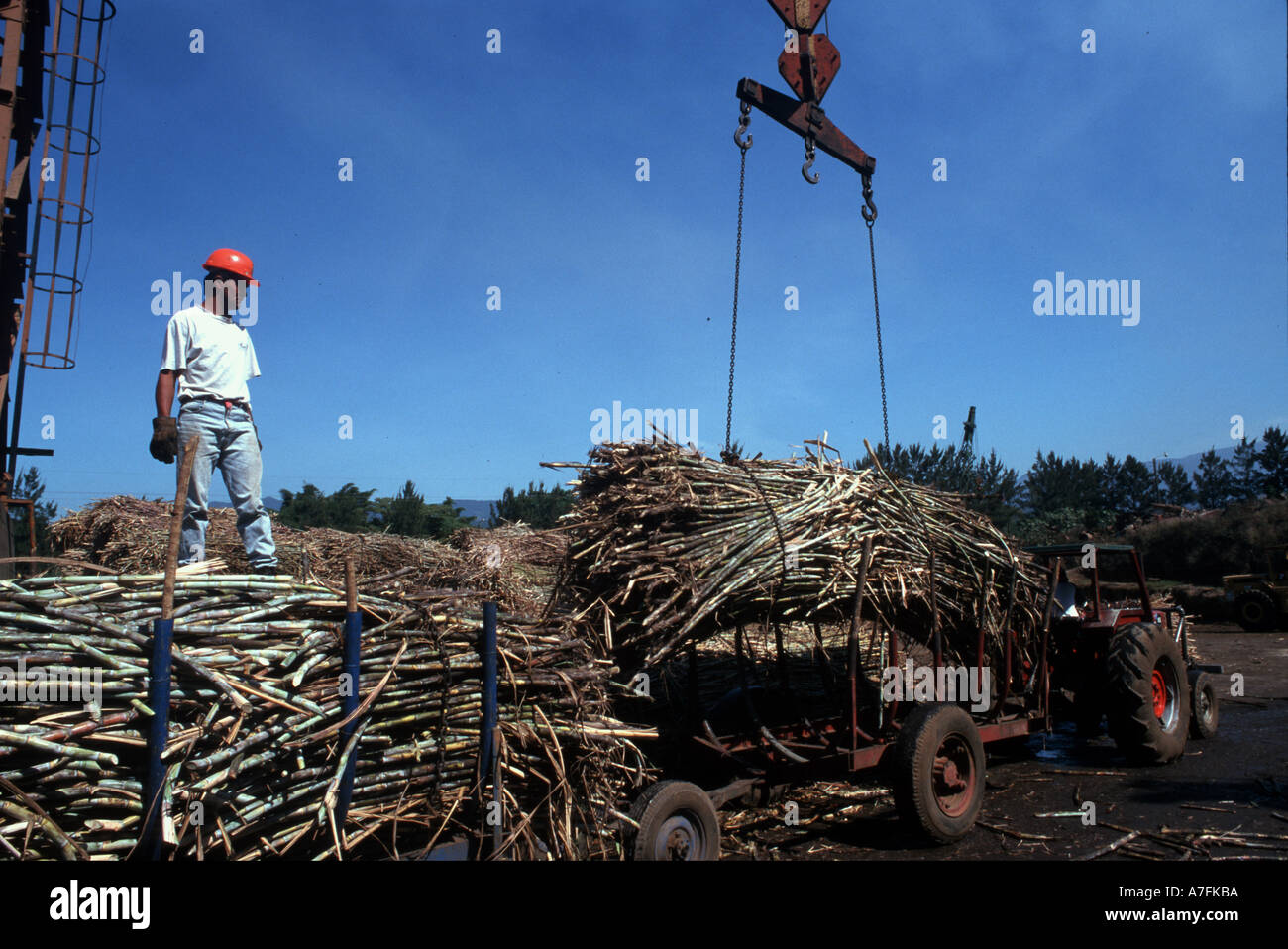 Costa Rica, Grecia, Sugar Harvest and production-refining Stock Photo ...