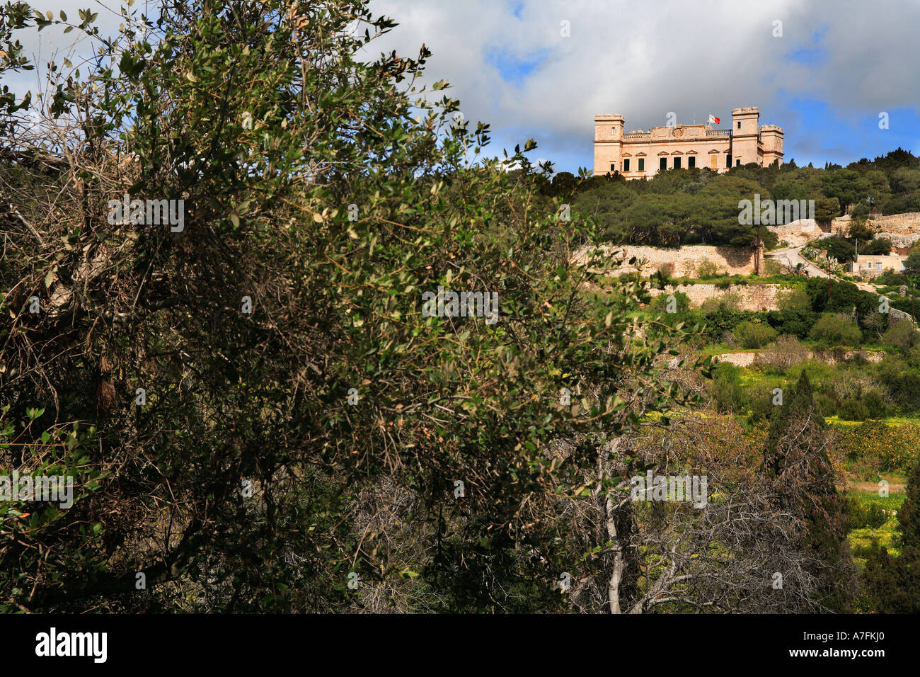 Verdala hi-res stock photography and images - Alamy