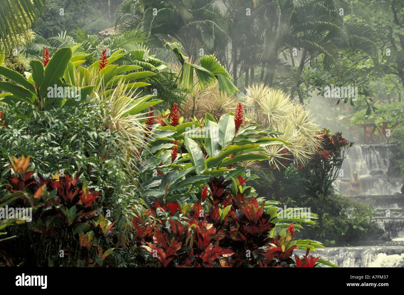 Central America, Costa Rica, Tabacon Hot Springs near Arenal Volcano ...