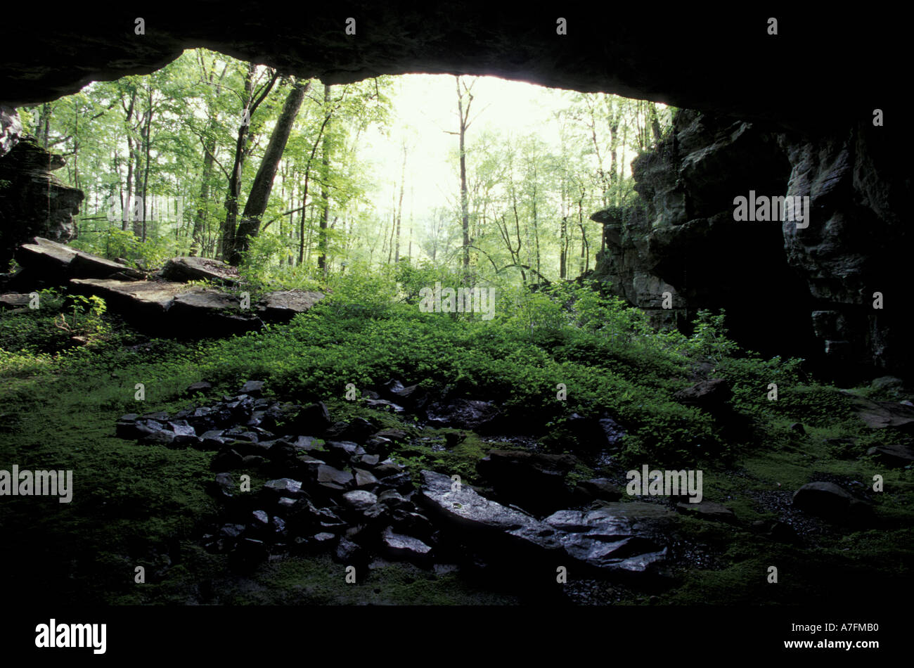 USA, Alabama, Jackson County. Russell Cave National Monument. Entrance ...
