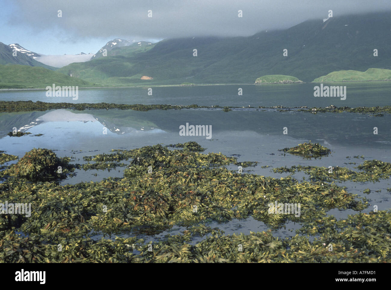 Alaska unalaska hi-res stock photography and images - Alamy