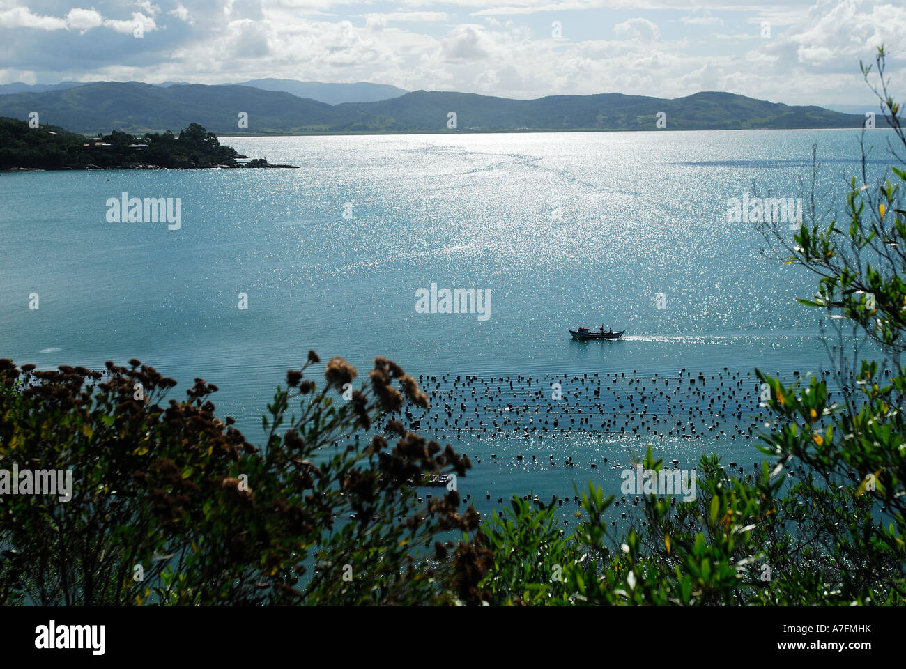 brazil sea view with boat Stock Photo - Alamy