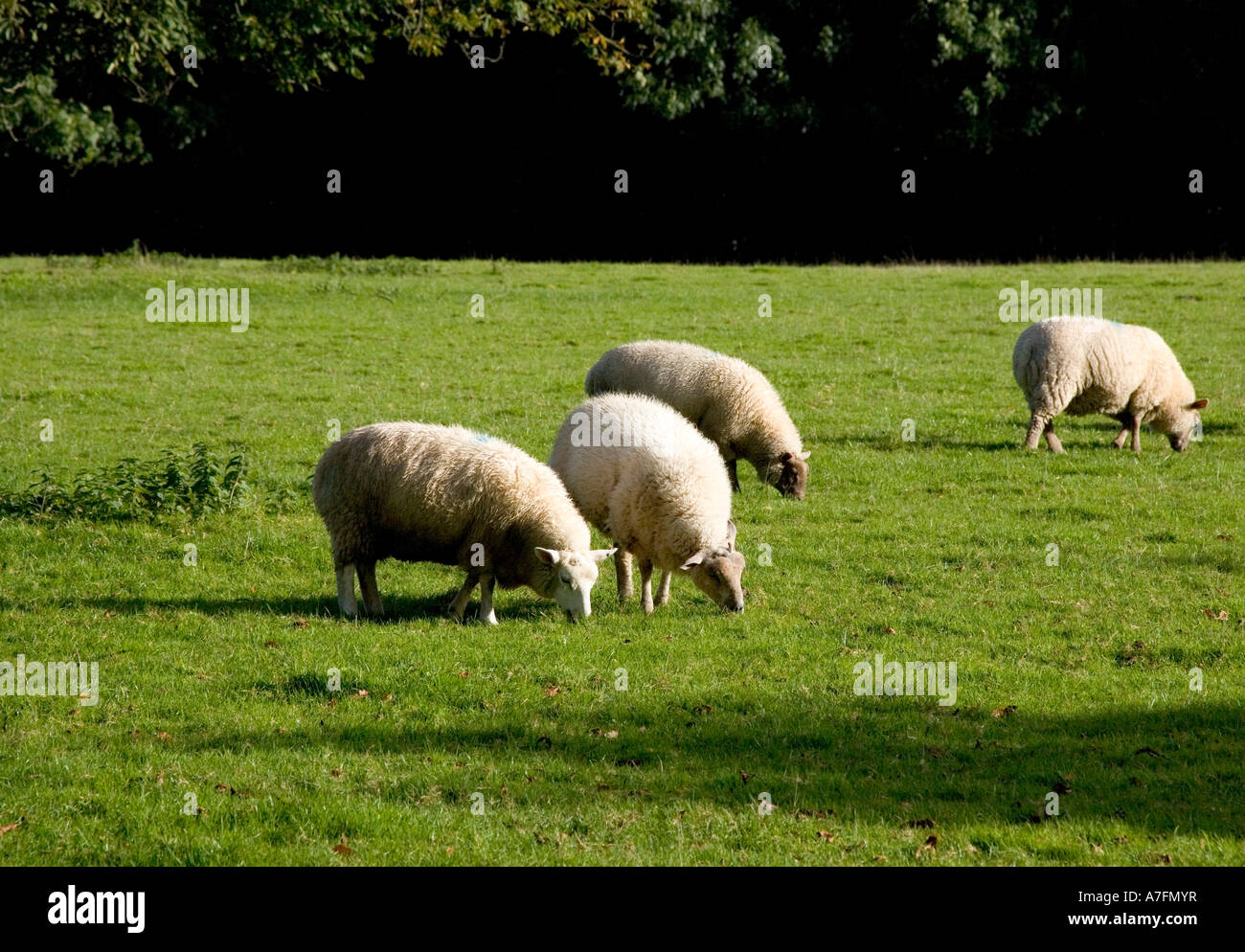 Available farm land hi-res stock photography and images - Alamy