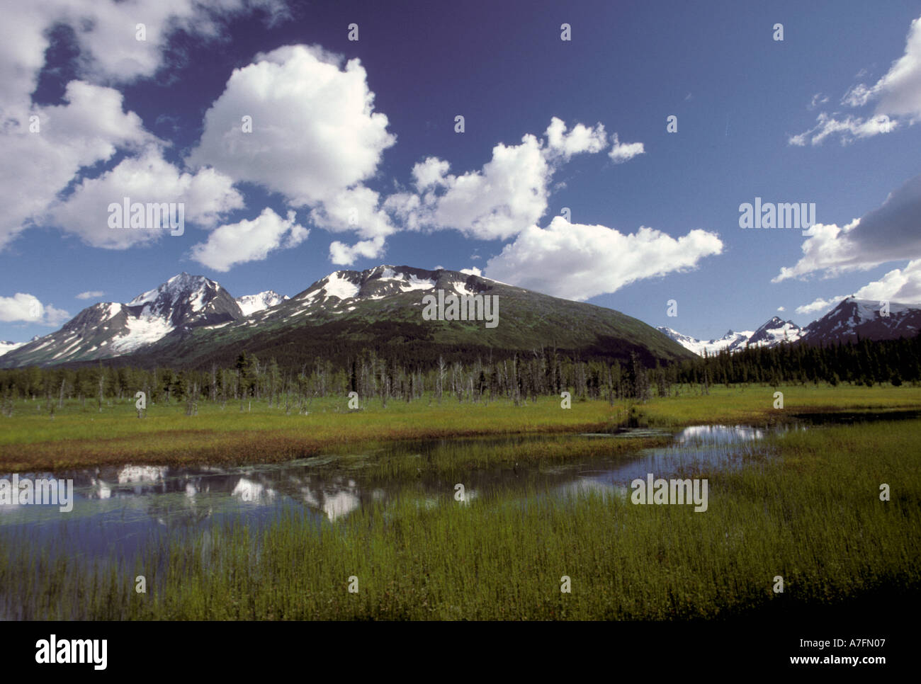 Alaska peninsula national wildlife refuge hi-res stock photography and ...