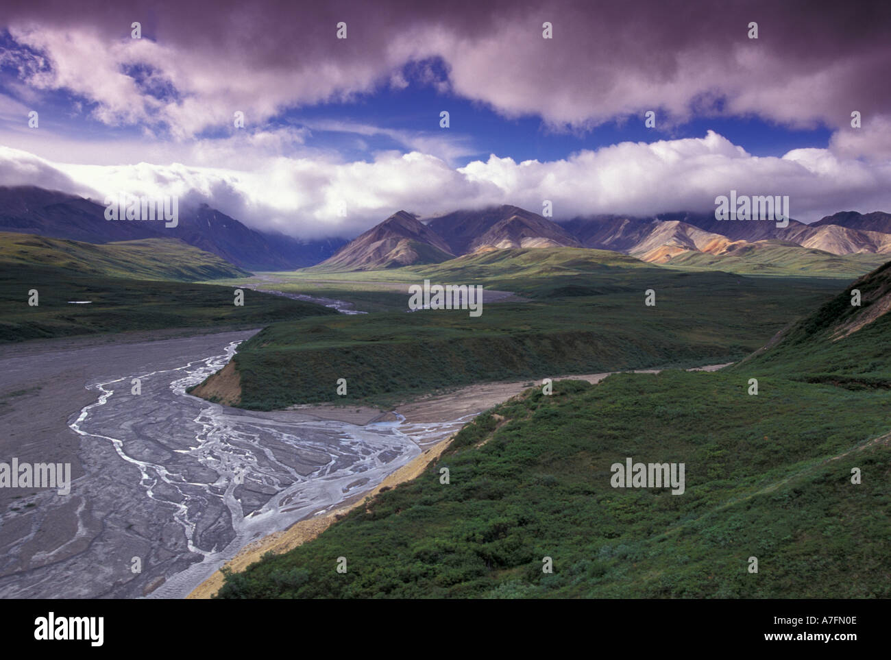 Denali polychrome view hi-res stock photography and images - Alamy