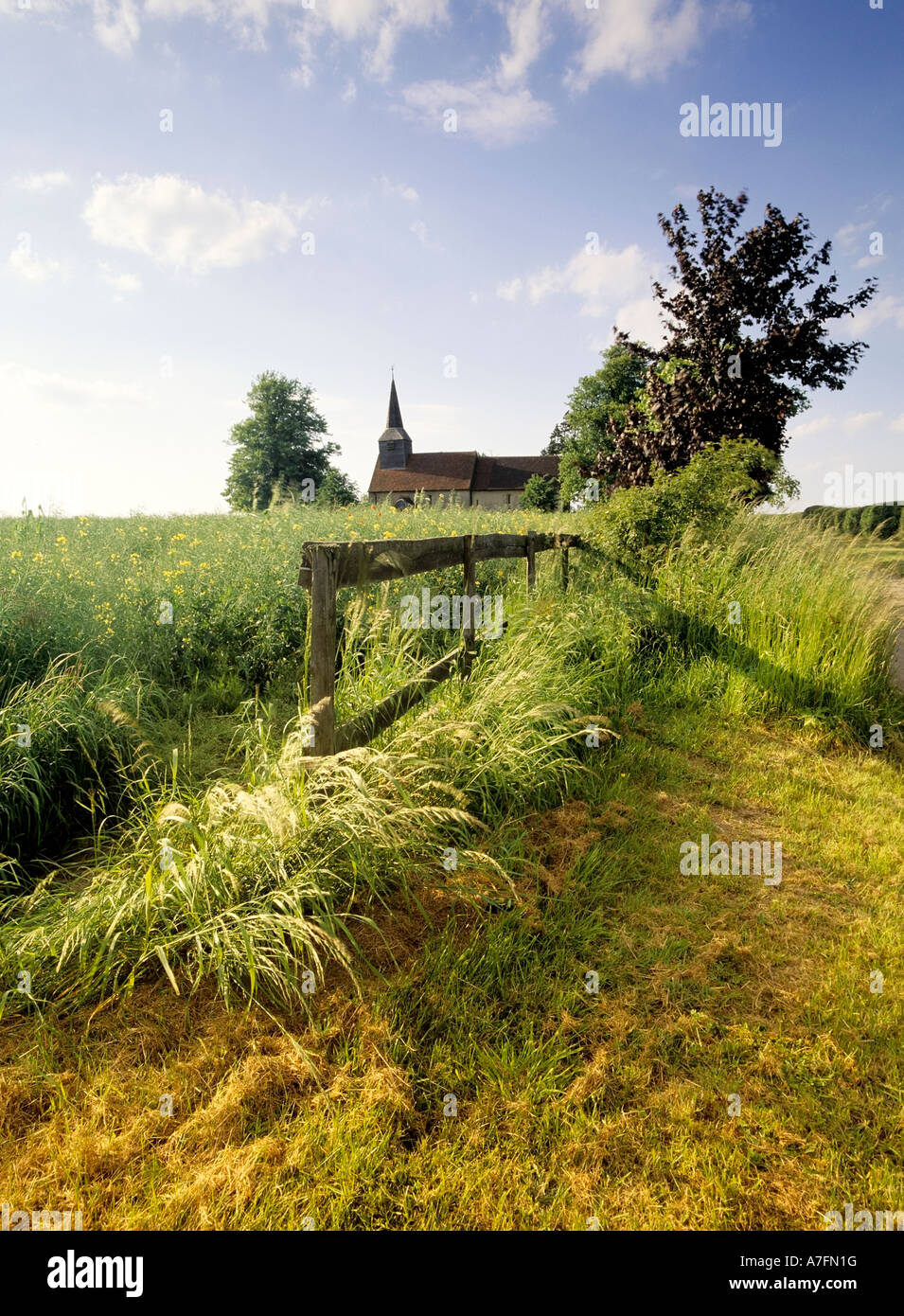 Aythorpe roding hi-res stock photography and images - Alamy