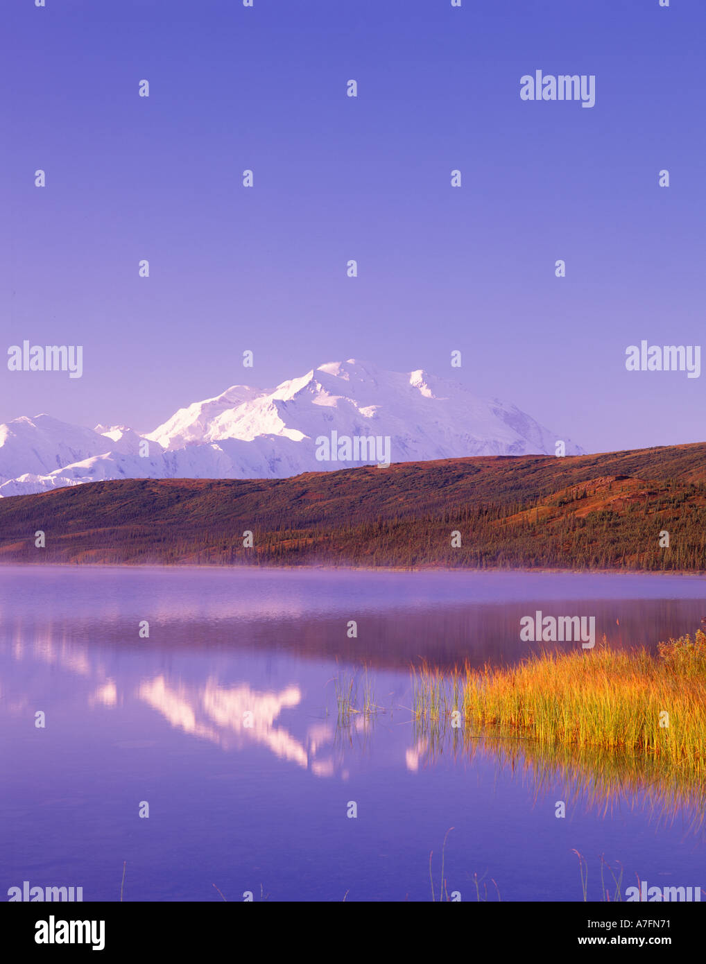 NA, USA, Alaska, Denali NP, Wonder Lake, Mt. McKinley in morning light ...