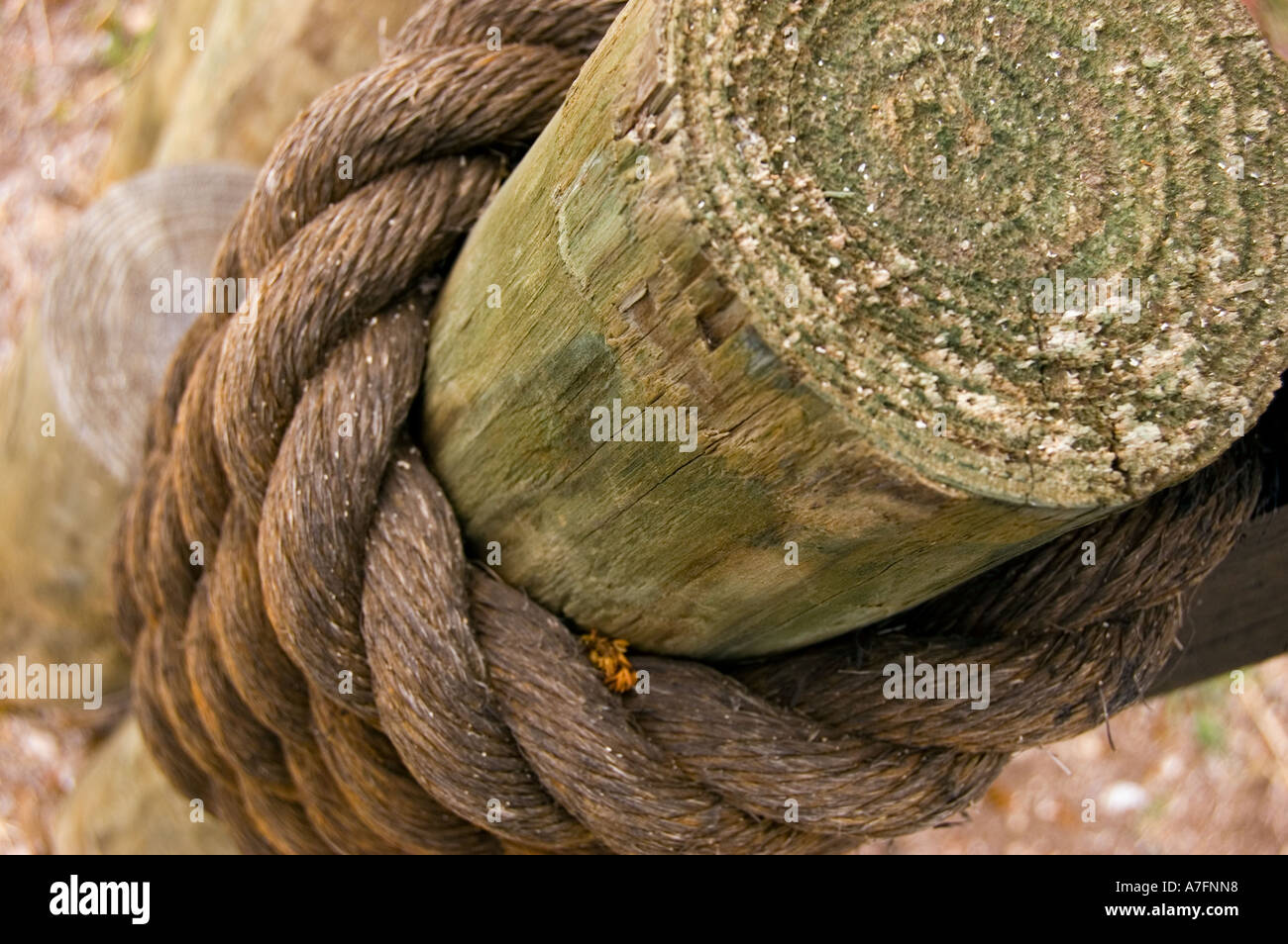 Wrapped lumber hi-res stock photography and images - Alamy