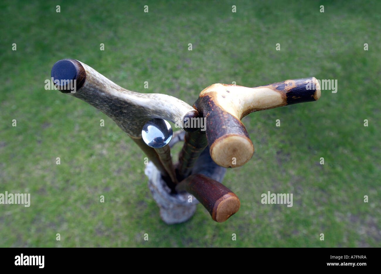 Hand carved walking sticks hi-res stock photography and images - Alamy