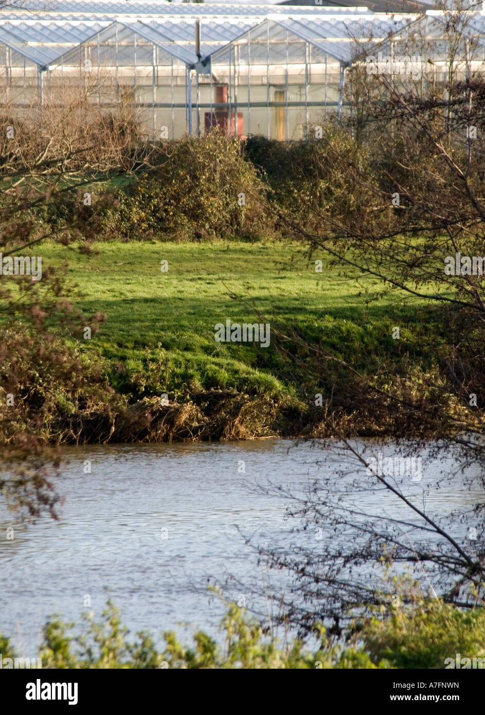 evesham country park river avon Stock Photo - Alamy