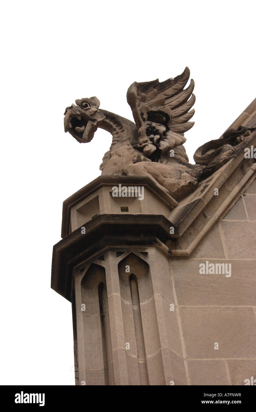 stone gargoyle on the top of University of Chicago building Stock Photo ...