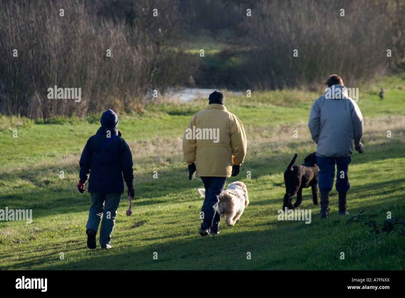 three people walking two walking dogs Stock Photo - Alamy