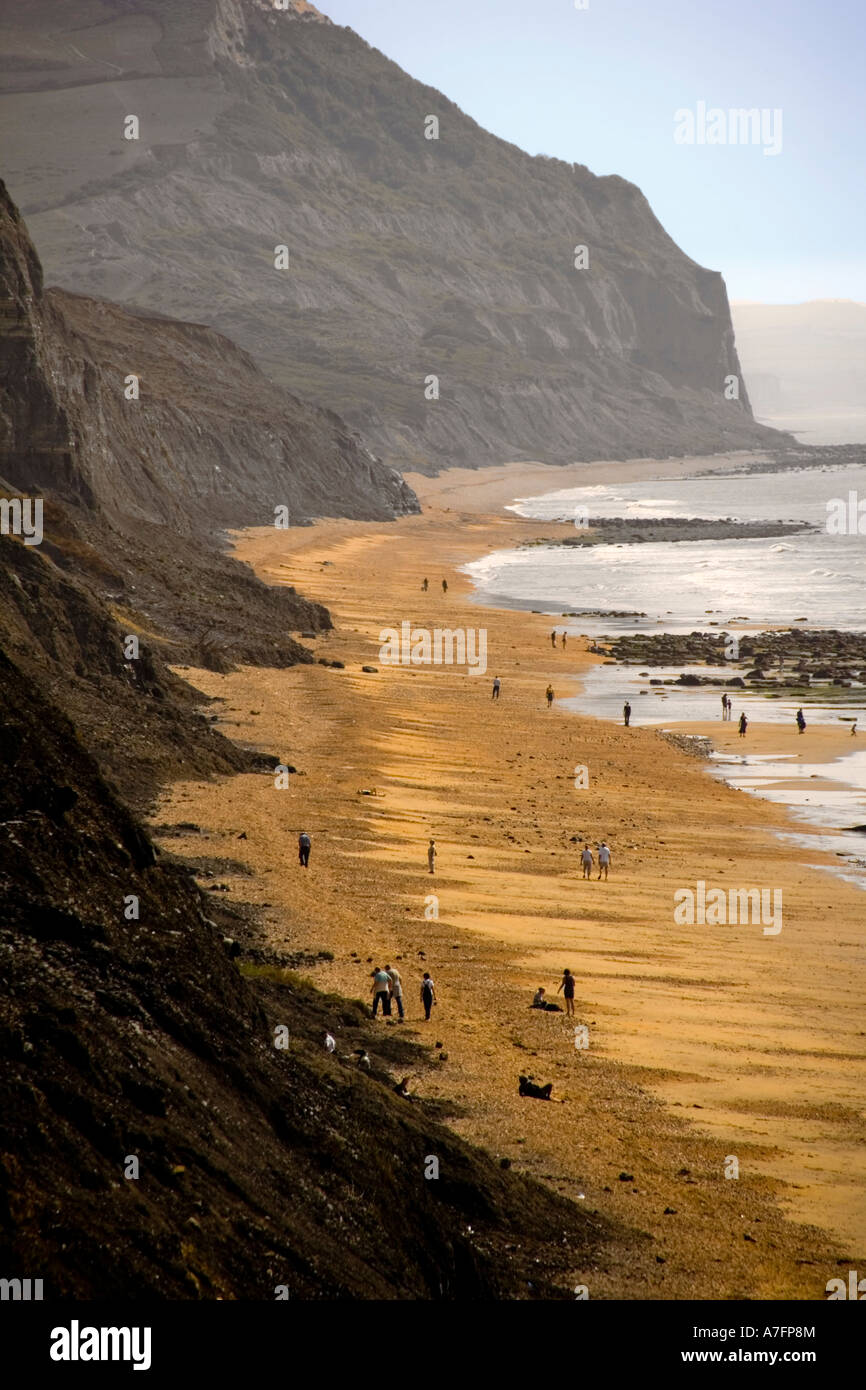 Beach cliffs charmouth jurassic coast dorset england uk Stock Photo - Alamy