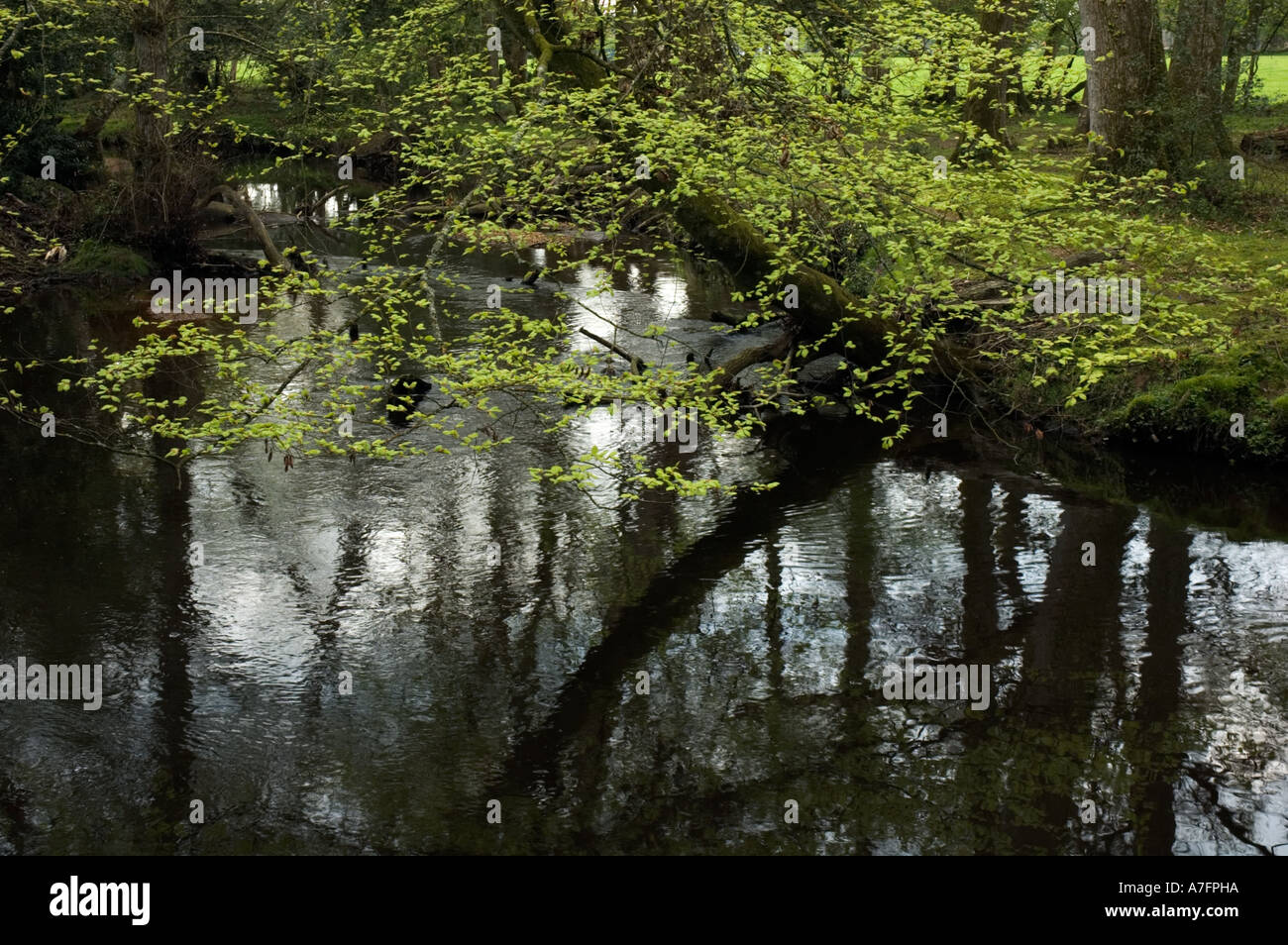 Water corpse hi-res stock photography and images - Alamy