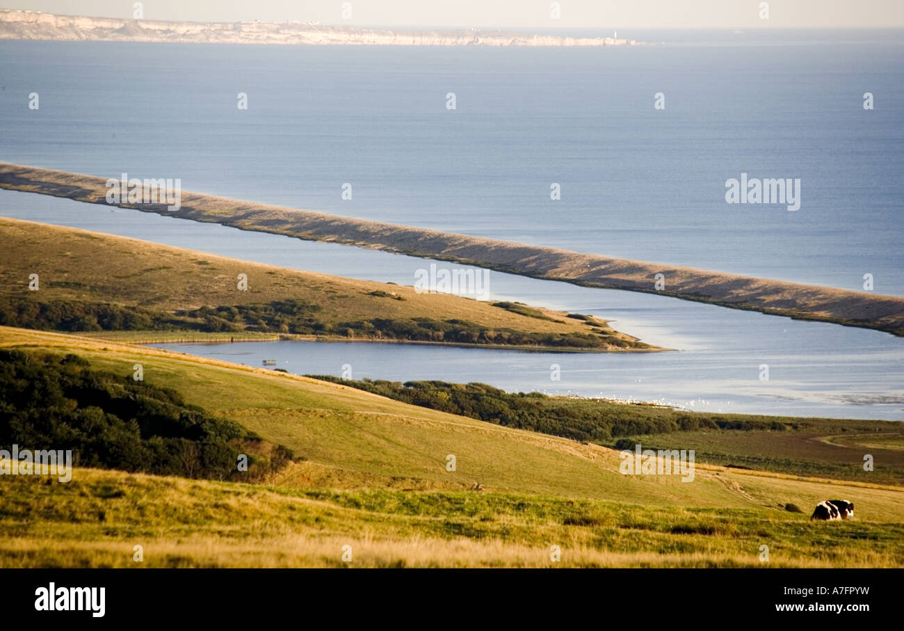 chesil beach dorset EXCLUSIVE to and only avaialable on alamy website ...