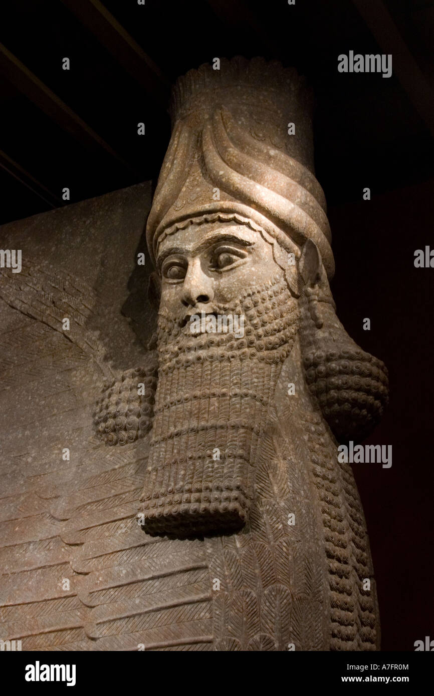 Assyrian Human Headed Winged Bull from the Oriental Institute Chicago ...