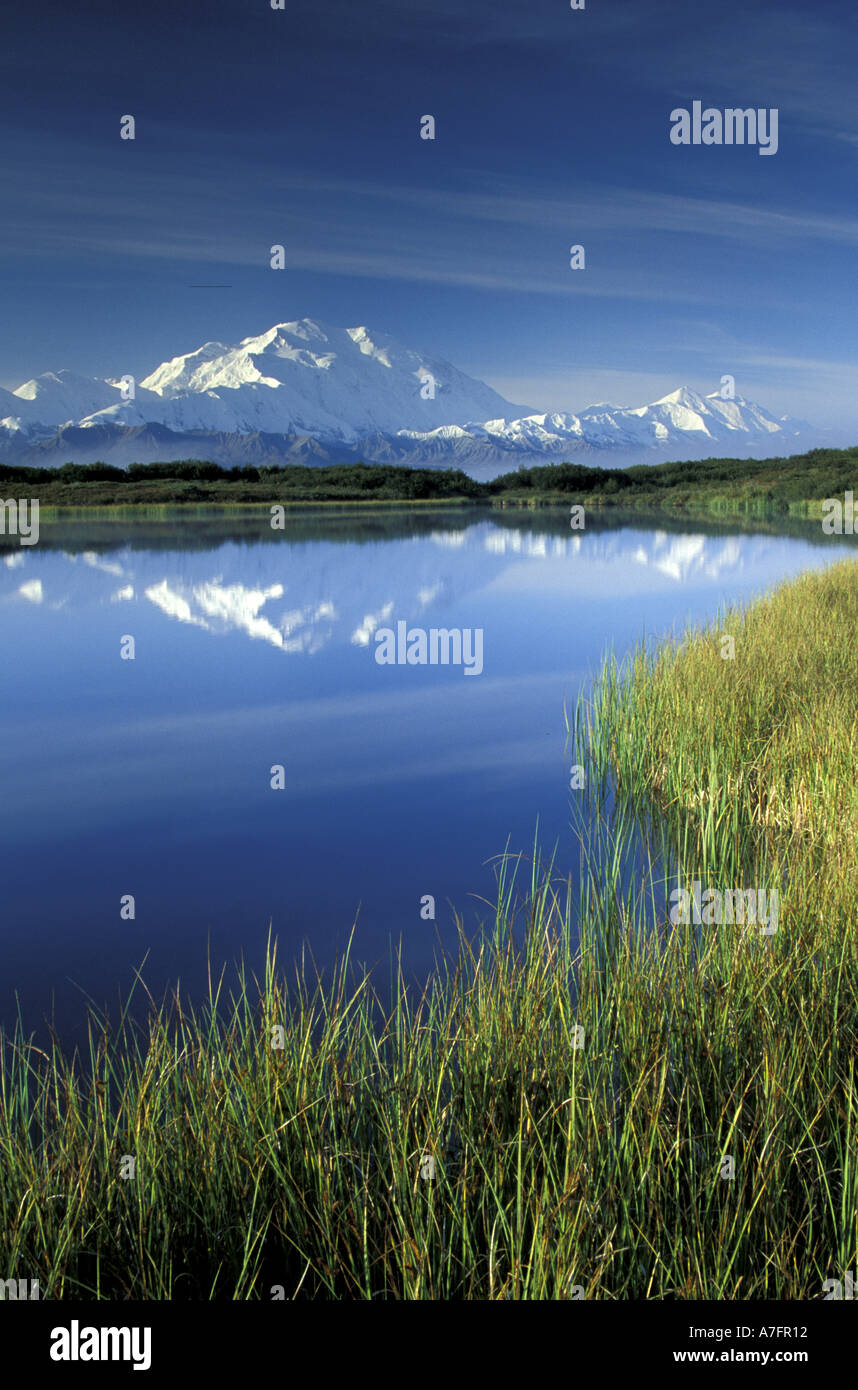 NA, USA, Alaska, Denali NP Mt. McKinley (20,320 feet) Mountain ...
