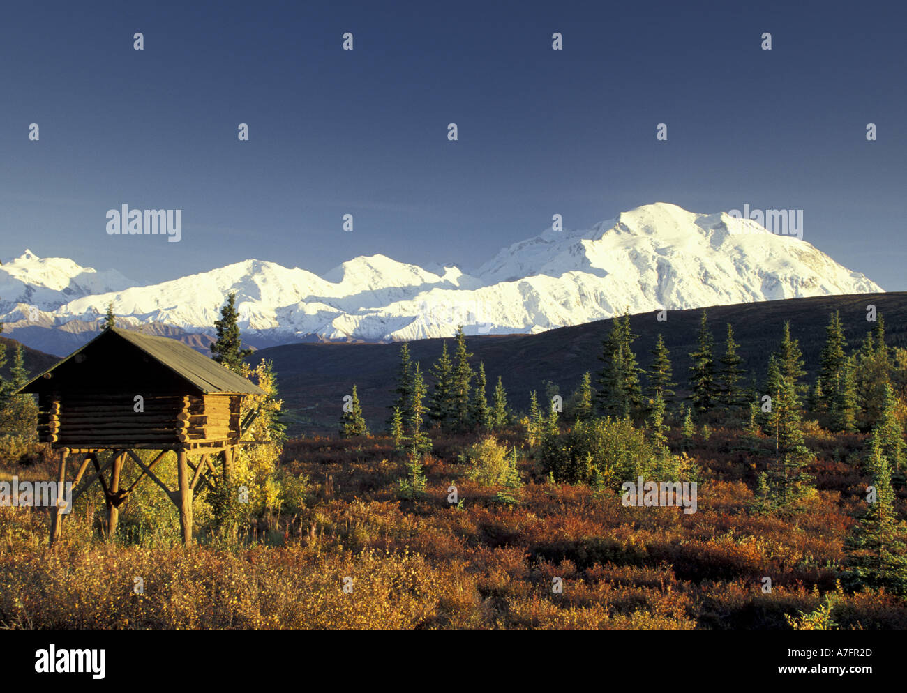 NA, USA, Alaska. Denali National Park. Denali and traditional Alaskan ...