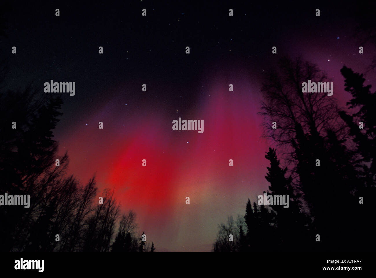 Fairbanks north star silhouette hi-res stock photography and images - Alamy